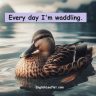 140 Duck Puns That'll Make You Quack Up - EnglishLeaflet