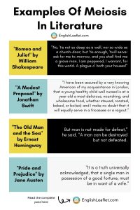 Examples Of Meiosis In Literature - EnglishLeaflet
