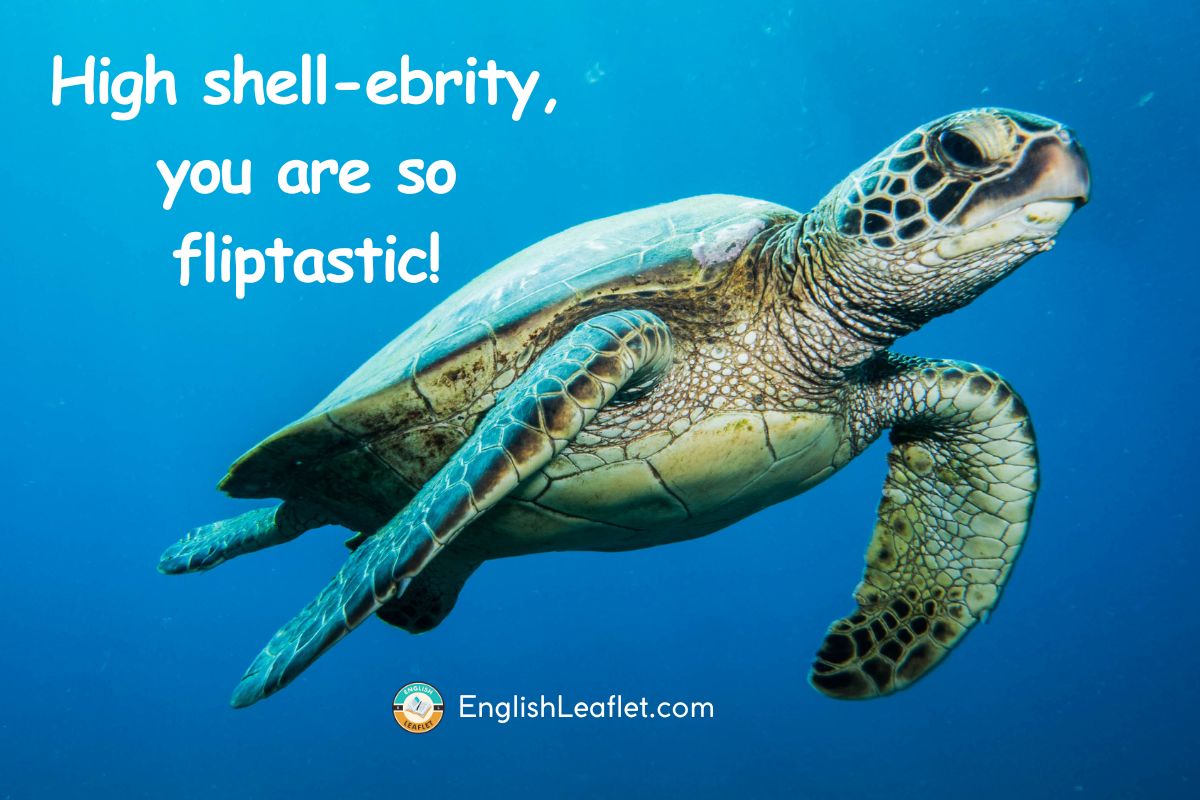 170 Turtle Puns: Turtley Worth the Laugh - EnglishLeaflet