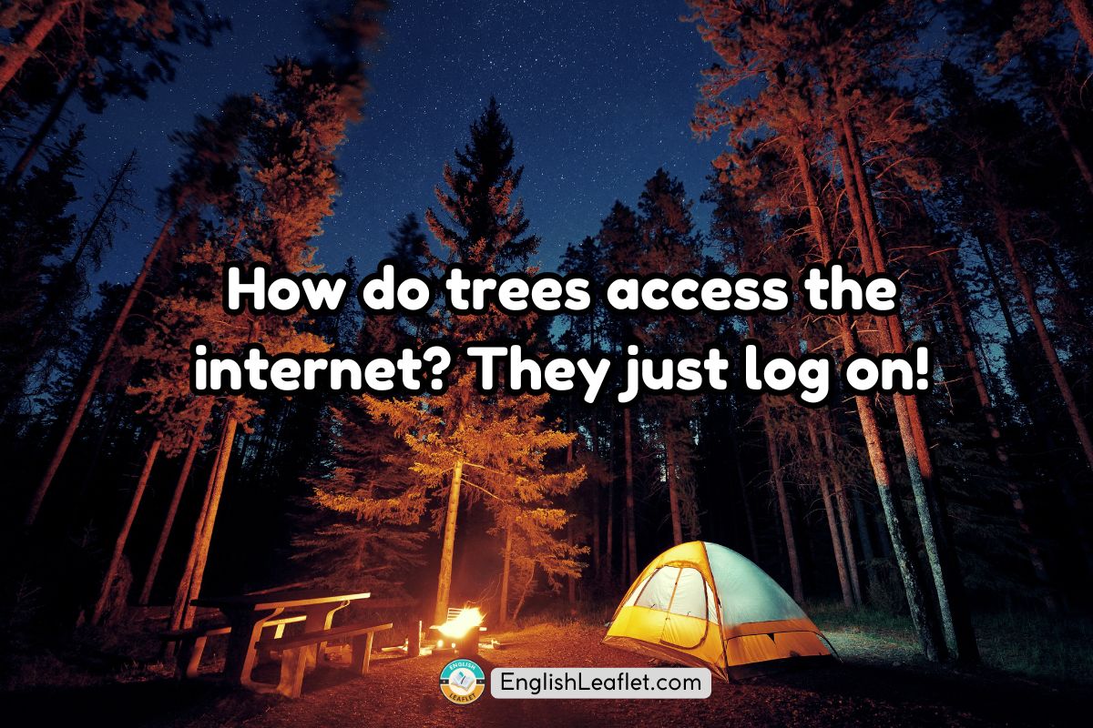 160 Witty Camping Puns to Light Up Your Trip - EnglishLeaflet