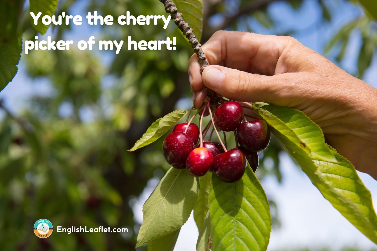 155 Cherry Puns: Life’s a Bowl of Cherries - EnglishLeaflet
