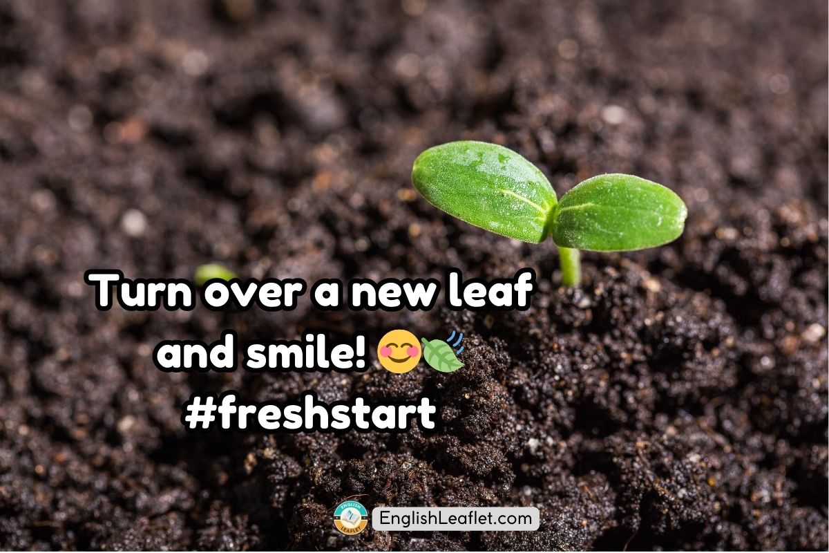 180 Leaf Puns: That Will Leaf You Laughing - EnglishLeaflet