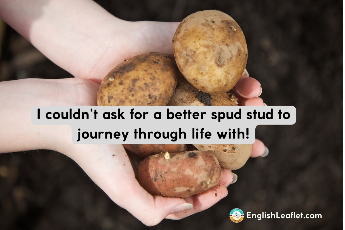 170 Potato Puns to Make You Peel with Joy! - EnglishLeaflet