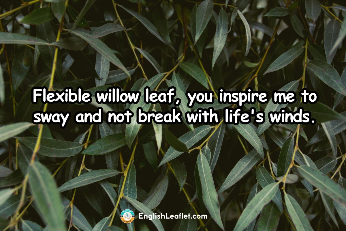 180 Leaf Puns: That Will Leaf You Laughing - EnglishLeaflet