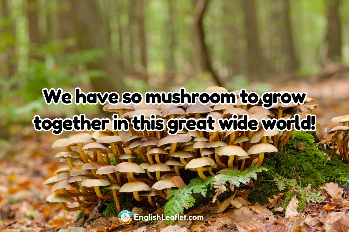 90 Fungi Frenzy: Hilarious Puns About Mushrooms - EnglishLeaflet