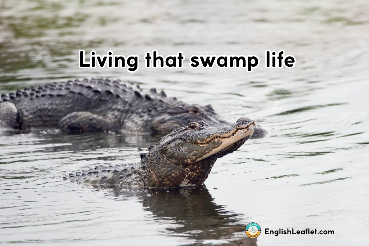 120 Alligator Puns: Gator-ific Puns to Make You Smile - EnglishLeaflet