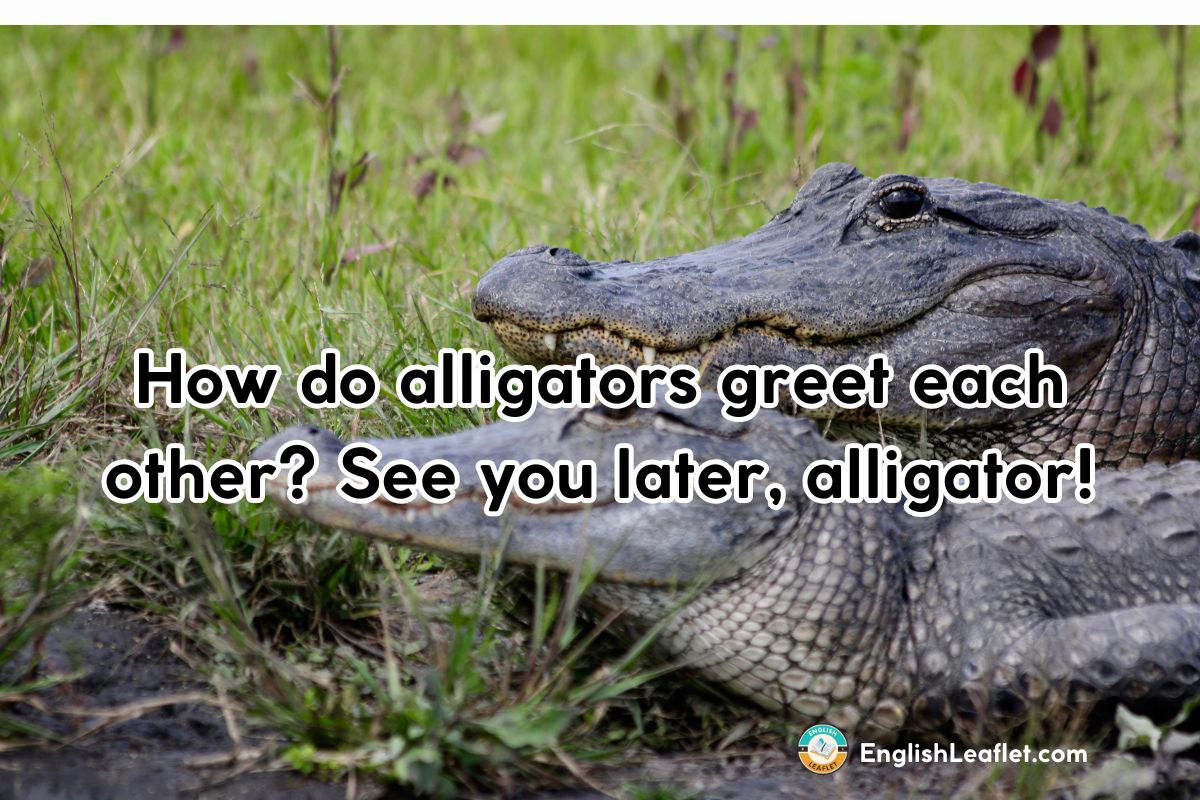 120 Alligator Puns: Gator-ific Puns to Make You Smile - EnglishLeaflet