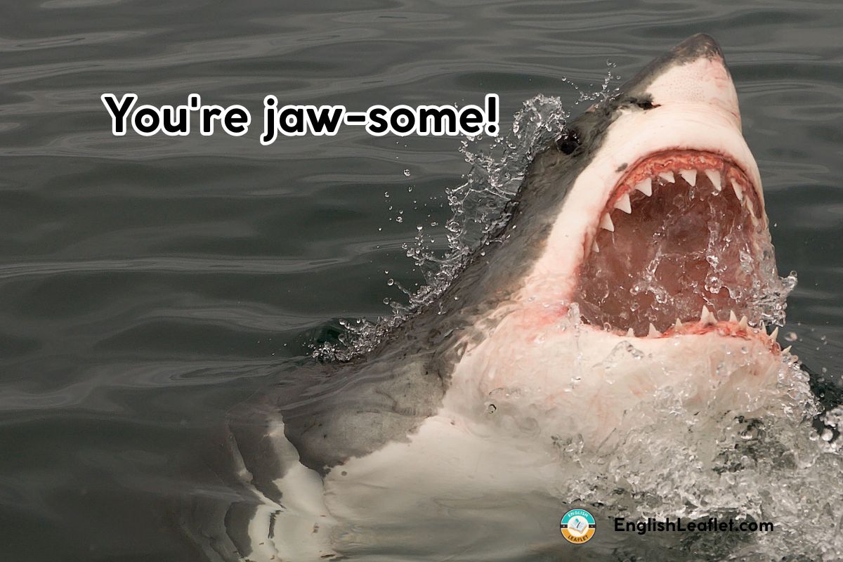 A Jawsome Collection of 155 Shark Puns for a Splash of Humor ...