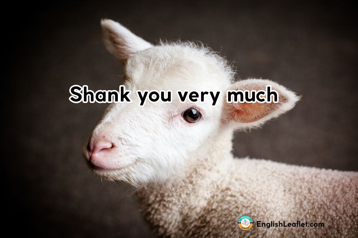 145 Lamb Puns That Are Un-baa-lievable! - EnglishLeaflet
