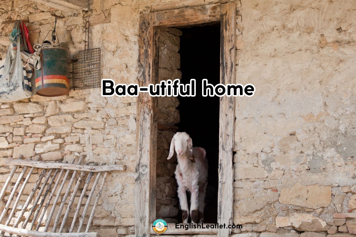 145 Lamb Puns That Are Un-baa-lievable! - EnglishLeaflet
