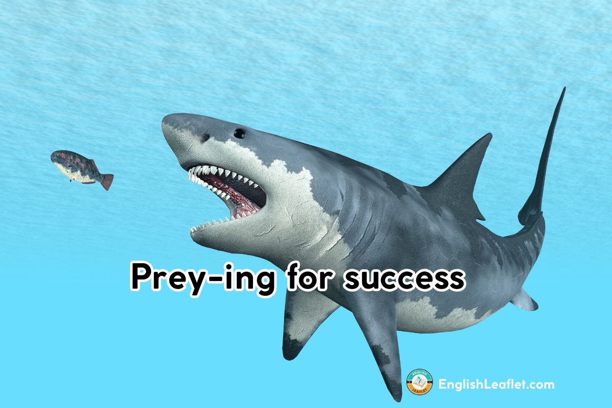 A Jawsome Collection of 155 Shark Puns for a Splash of Humor ...