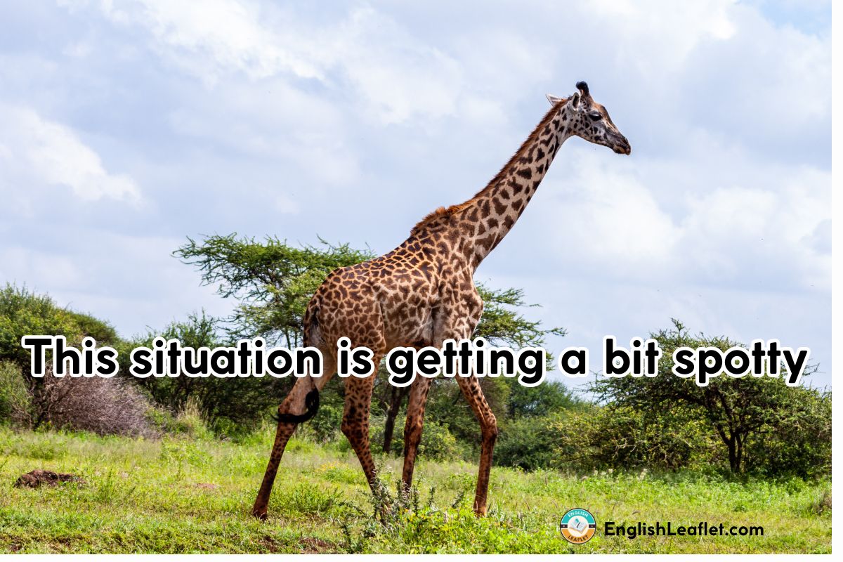 140 Giraffe Puns to Make You Smile from Head to Hooves! - EnglishLeaflet