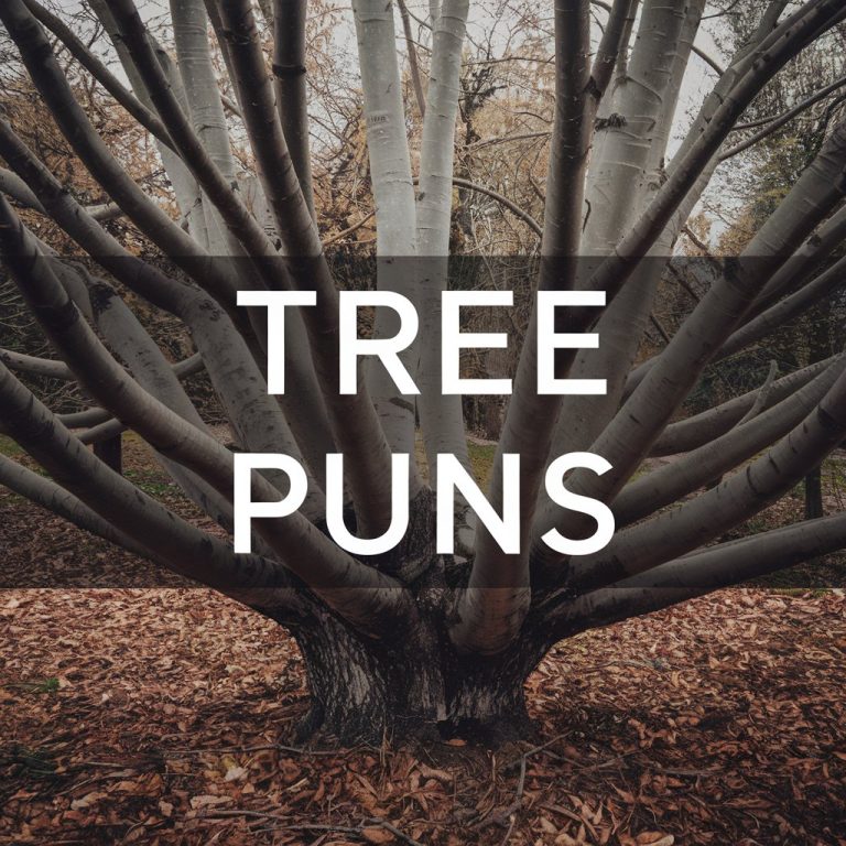 50+ Tree Puns That'll Leaf You Laughing! - EnglishLeaflet