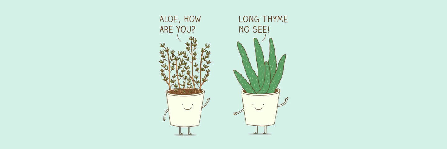50+ Plant Puns That'll Leaf You Laughing! 2026