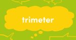 Trimeter – Definition, Meaning, and Examples in Poetry