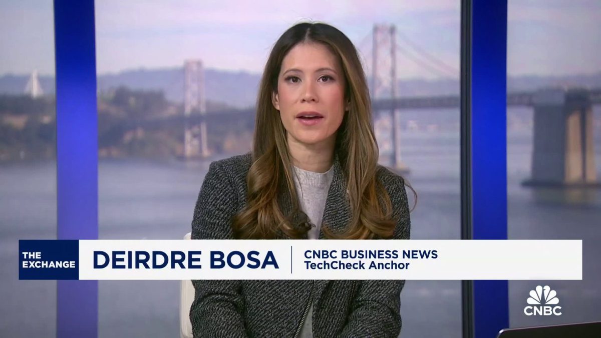 Deirdre Bosa Nationality: Embracing Her Canadian-American Roots in a ...